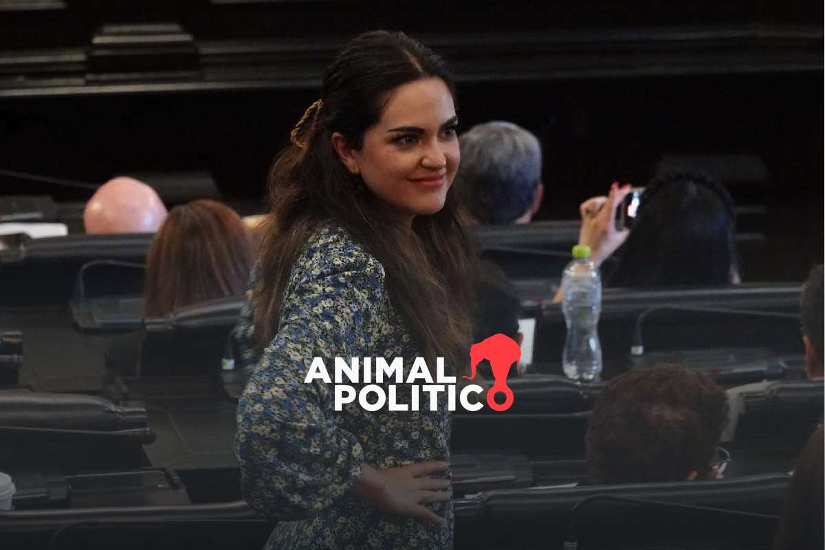 PAN denuncia otra vez a Andrea Chávez por promocionar su imagen en ...