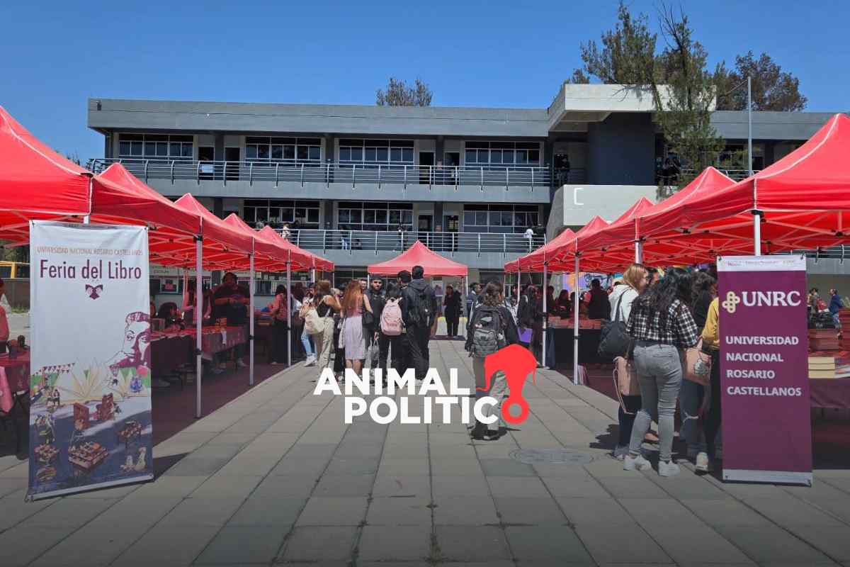 Universidad Rosario Castellanos lanza convocatoria a nivel nacional; te decimos los requisitos y ...