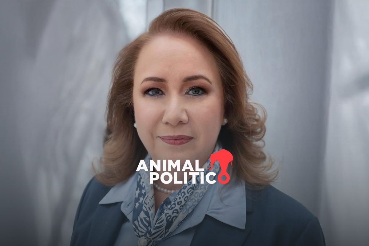 Yasmín Esquivel: la “ministra de la transformación” acusada de plagio y ...