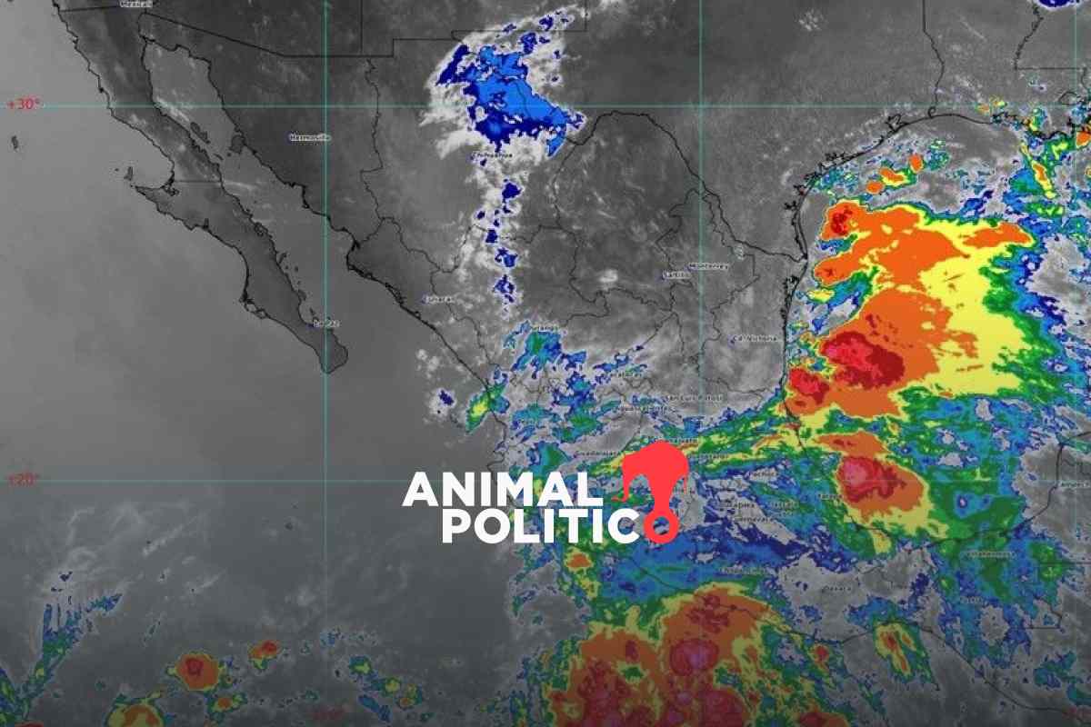 Se forma tormenta tropical Flossie en el Pacífico y Barry en el ...