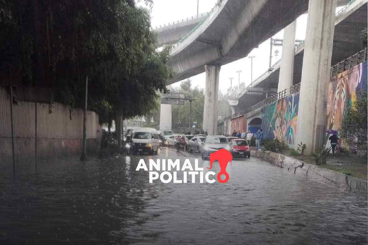 Lluvias dejan inundaciones y caída de árboles en CDMX; se desborda presa en Naucalpan