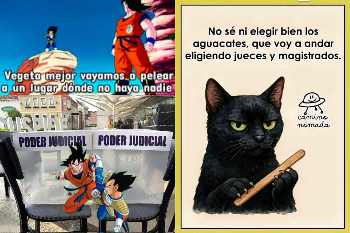 Memes Judiciales