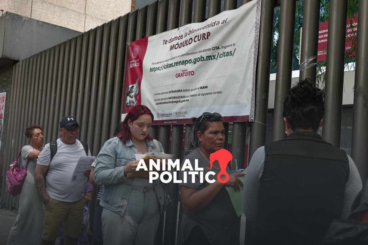 27 millones de personas ya realizaron el trámite para obtener su CURP ...