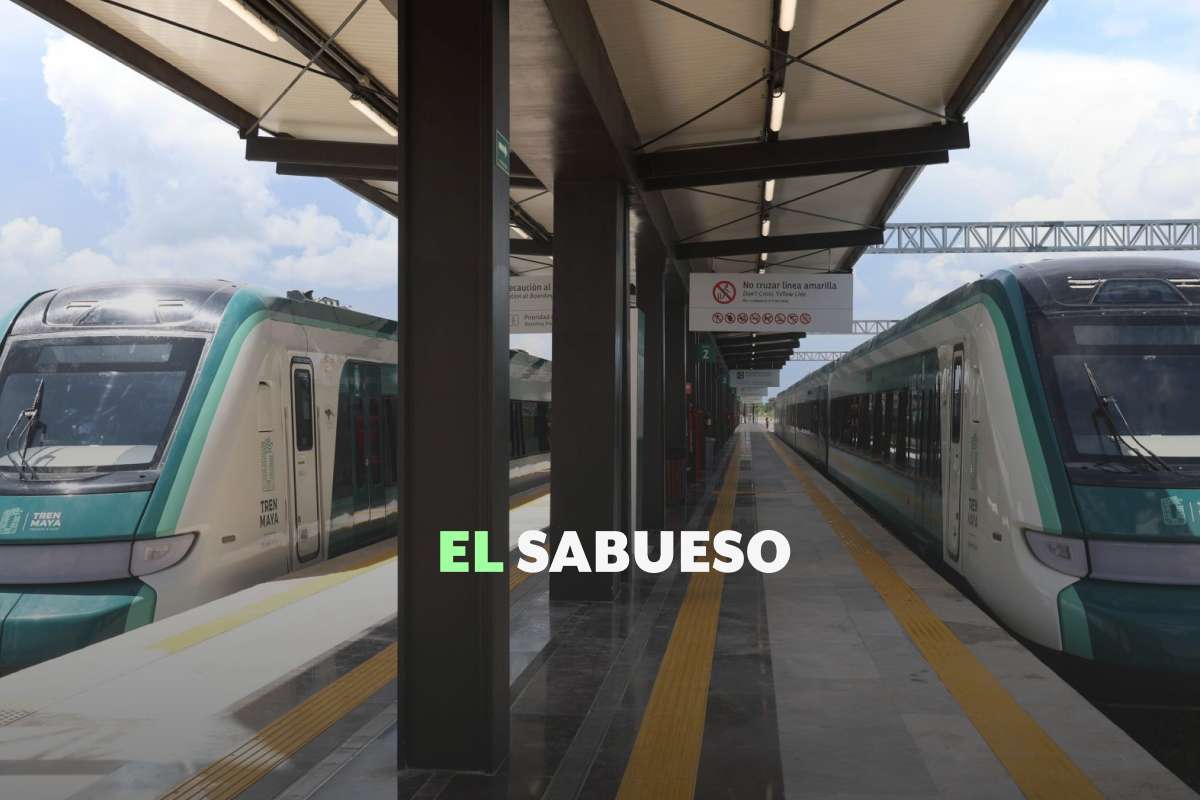 Tren Maya pierde más de 2 mil mdp en primer semestre de 2025; ingresos ...