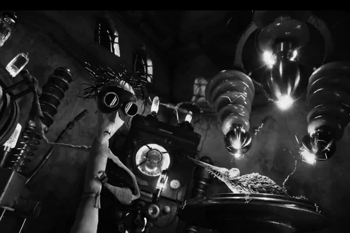 “The Tale of the Skull Tree”, el corto stop motion que Tim Burton hizo ...