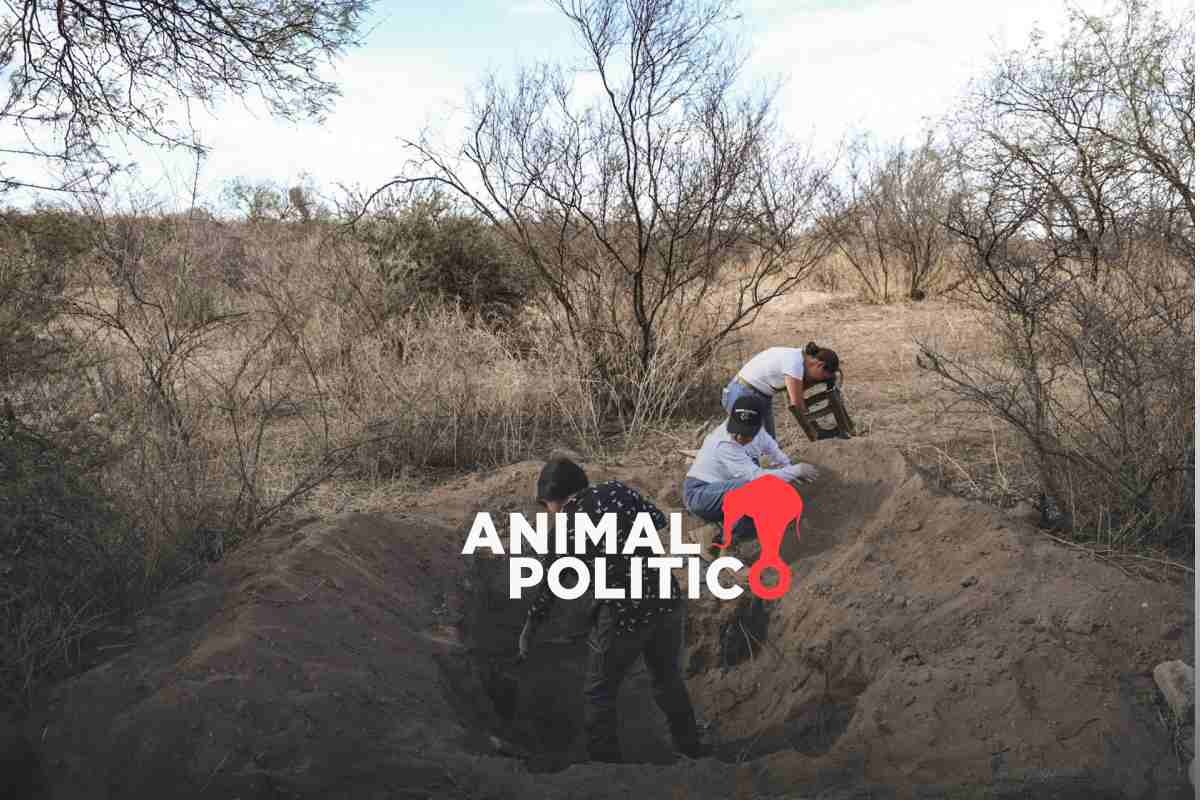 Madres buscadoras piden realizar una segunda búsqueda en fosa clandestina donde localizaron 17 ...