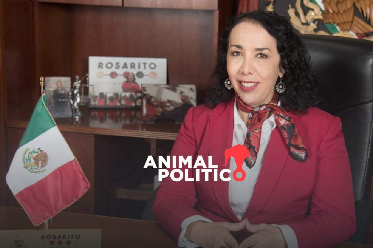 Ratifican solicitud de juicio político contra diputada de Morena, Hilda Brown, acusada de ...