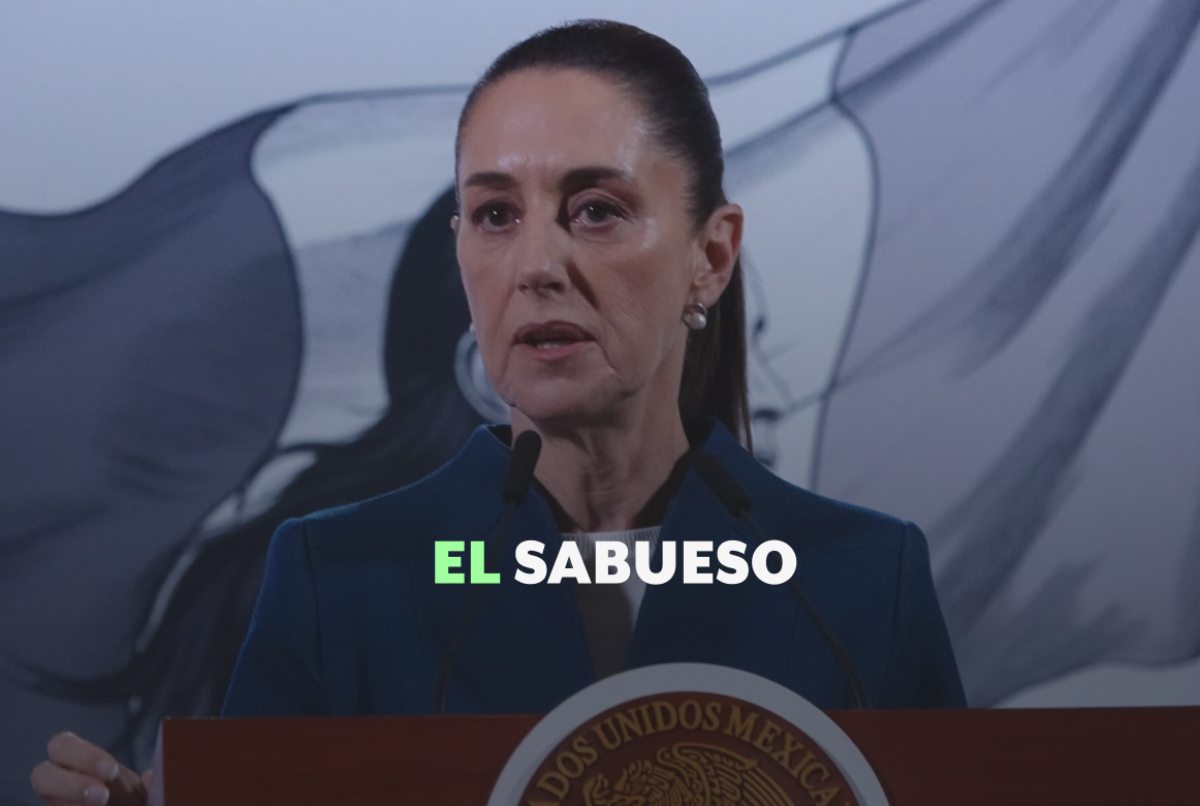 PPEF 2026: seguridad nacional, trenes y Sembrando Vida concentran 79 % ...