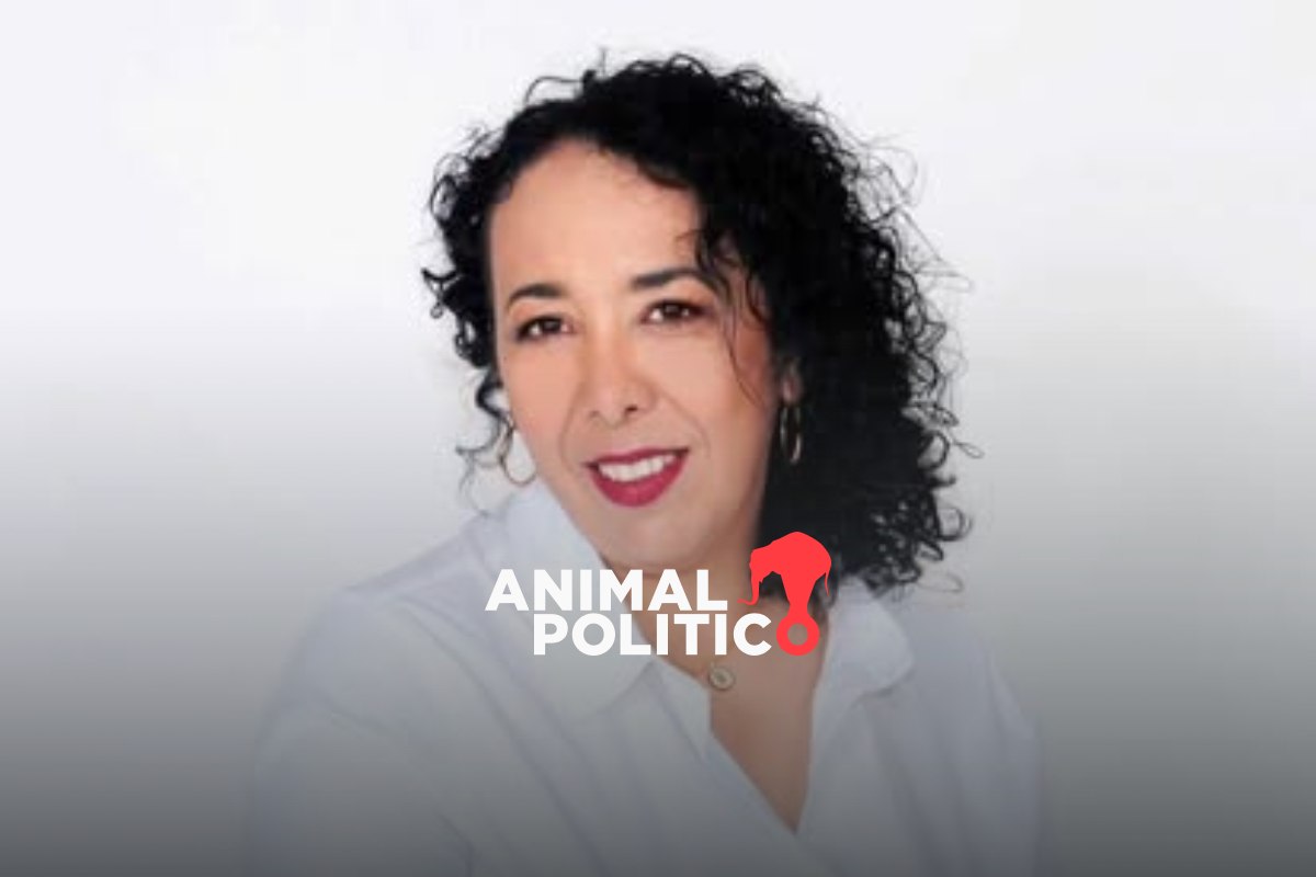 Quién es Hilda Araceli Brown Figueroa, la diputada de Morena acusada por EU de tener presuntos ...