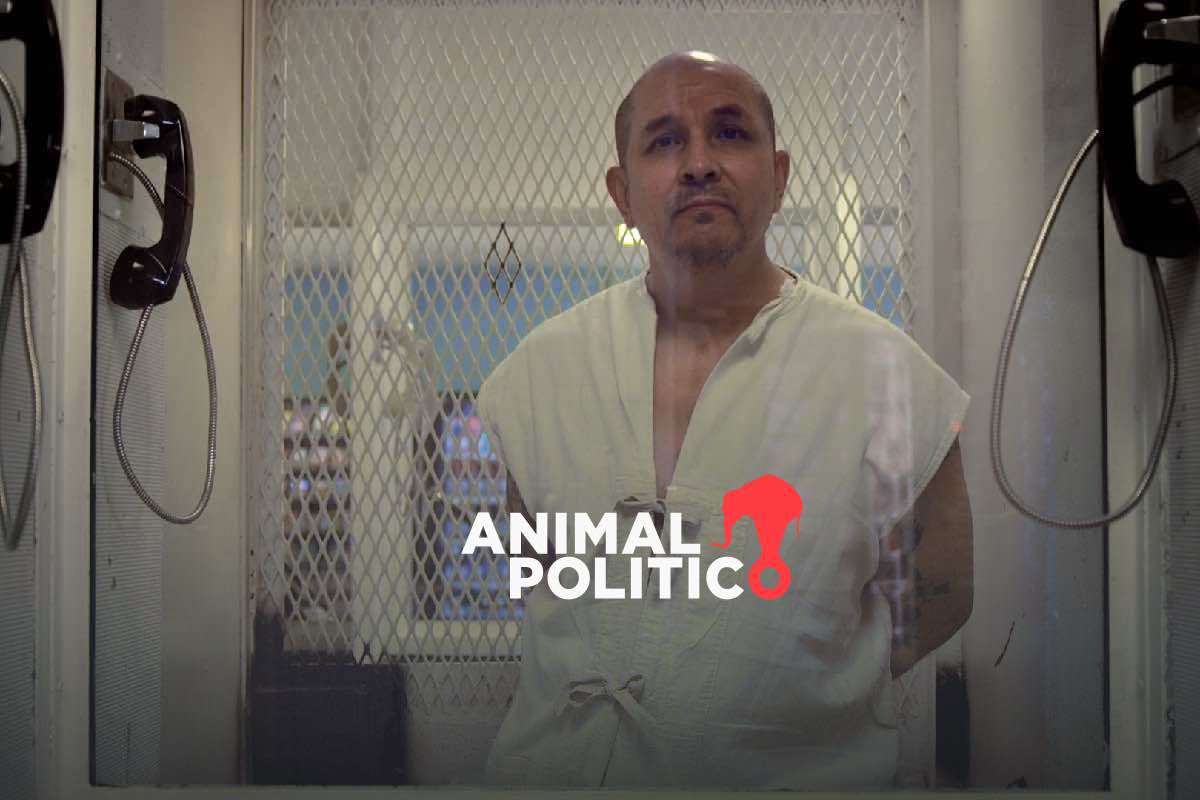 César Fierro, cómo empezar de cero tras cuatro décadas en el pabellón ...