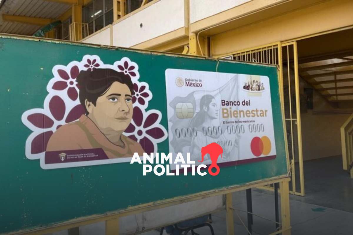 Conoce el calendario de pagos de la beca Rita Cetina y lo que pasó con ...