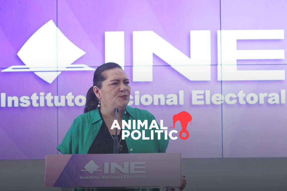 Diseño de Oples es imprescindible, dice Taddei en audiencia sobre ...