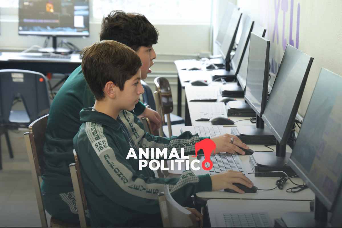 En qué consiste el programa Mixtli Digital para las primarias y ...