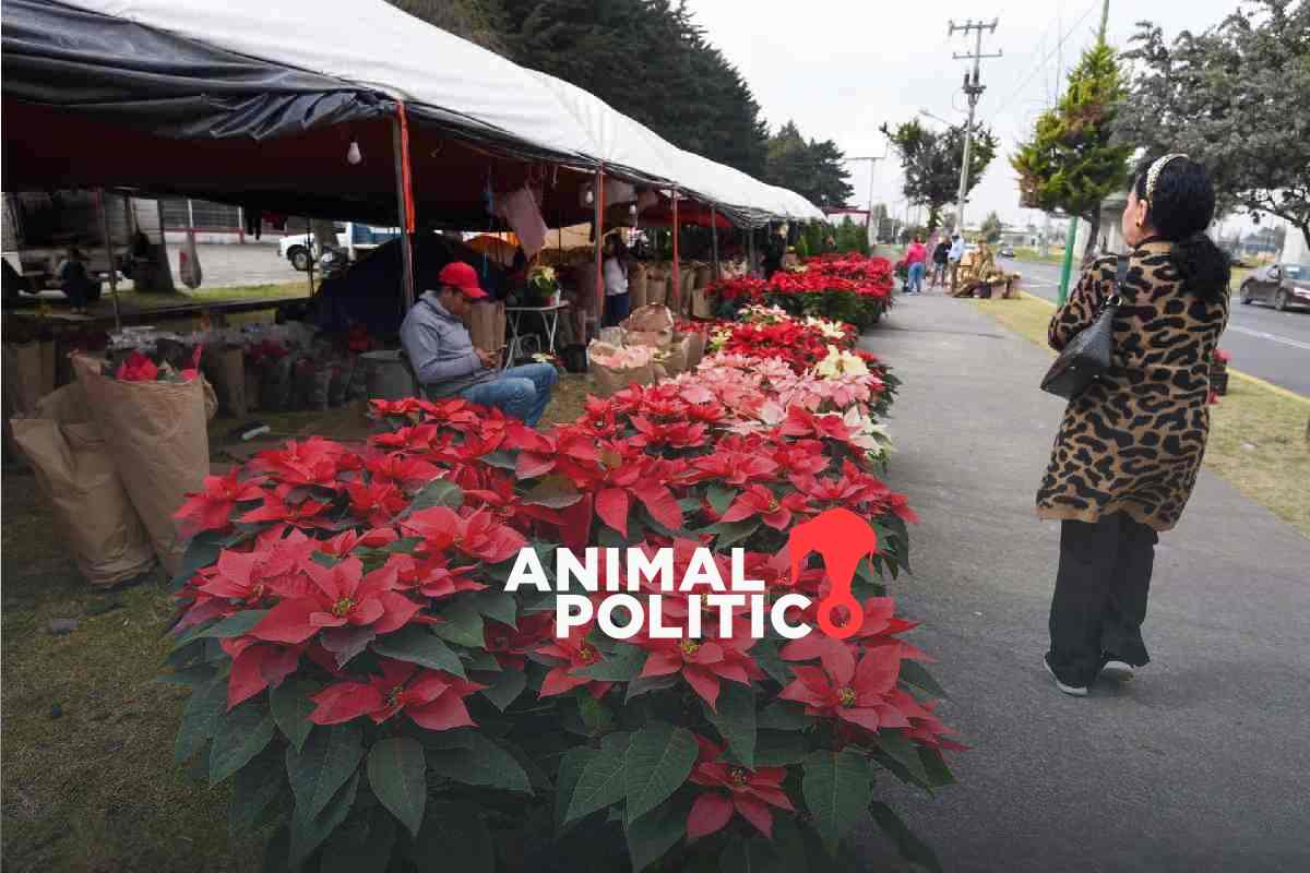 Activan fase 1 de contingencia ambiental en el Edomex tras pirotecnia y ...
