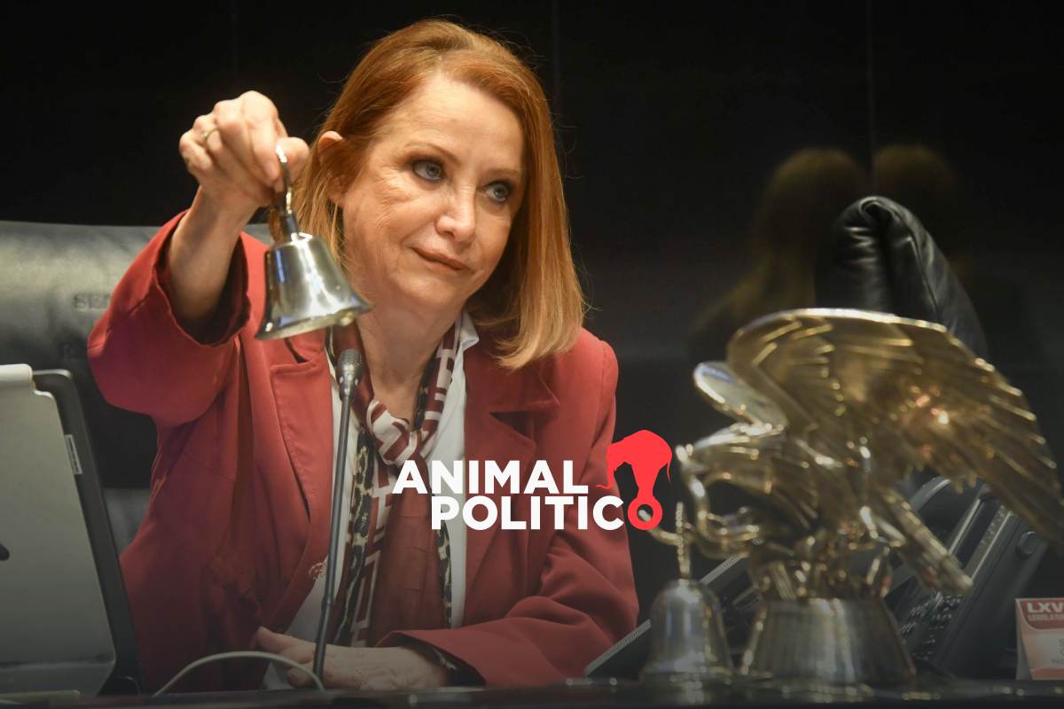 INE con “autonomía o independencia”, pero sin control del gobierno ...