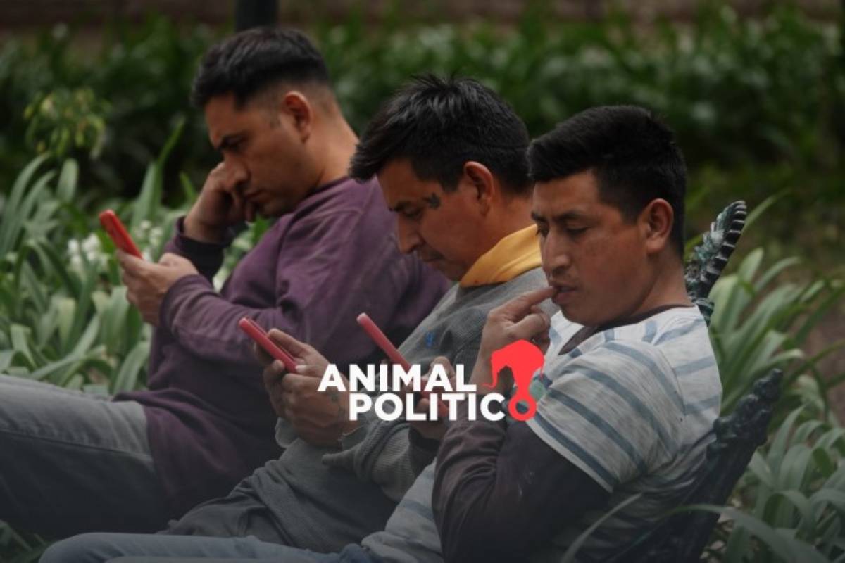 Sheinbaum dice que registro de celulares y resguardo de datos está a ...