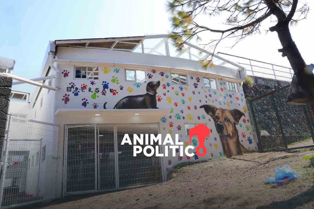 Gobierno de la CDMX garantiza en albergue del Ajusco atención a 304 ...