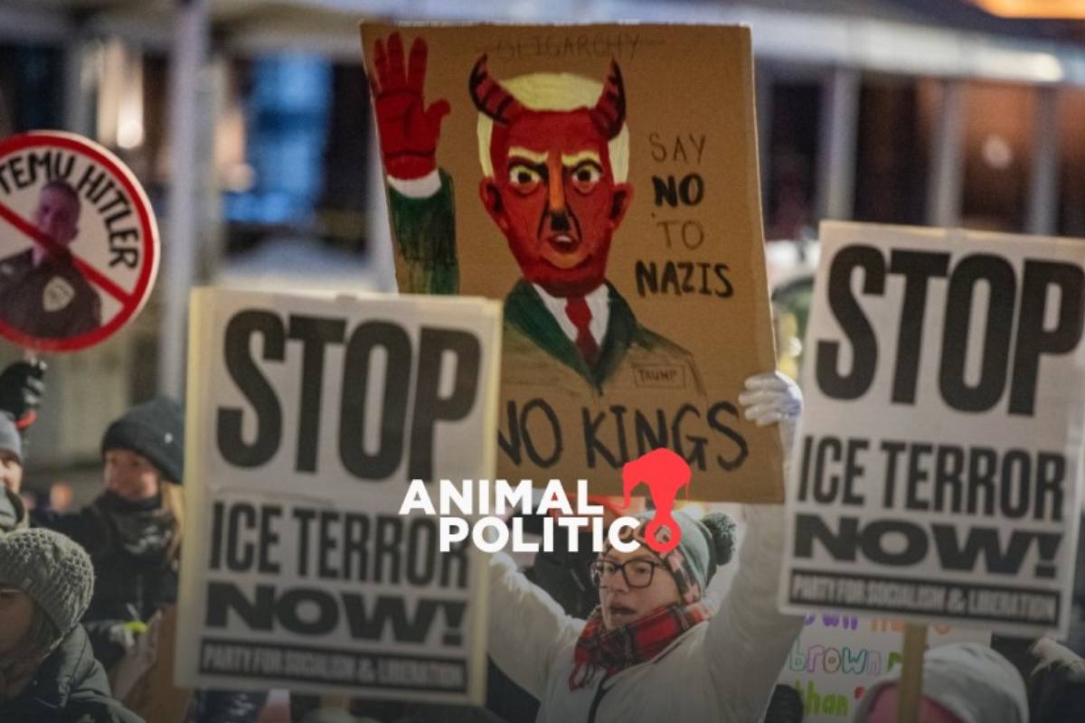 Agentes migratorios detienen a niño de 5 años en Mineápolis, reporta ...