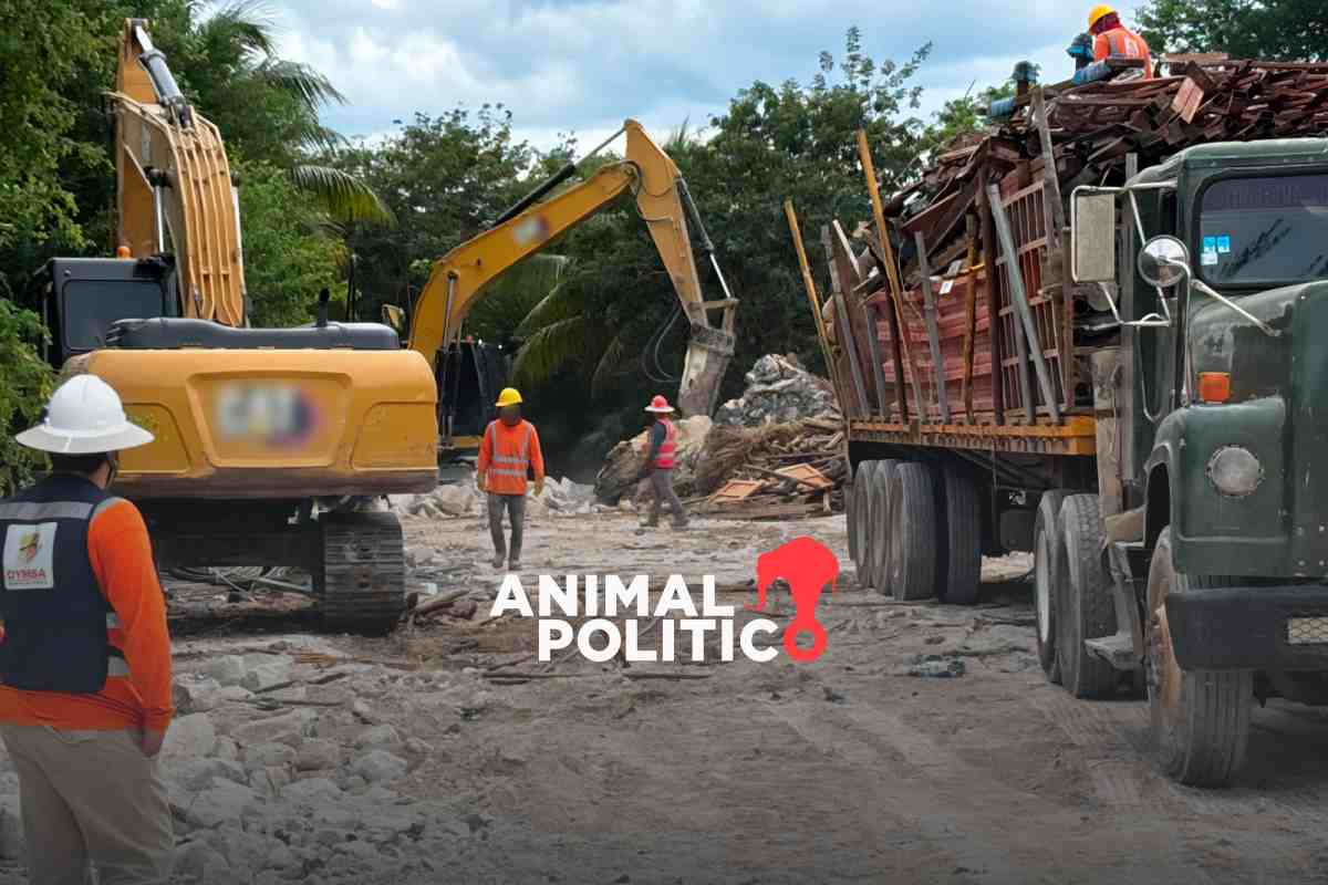 Profepa clausura el proyecto “Perfect Day Mahahual”, en Quintana Roo ...