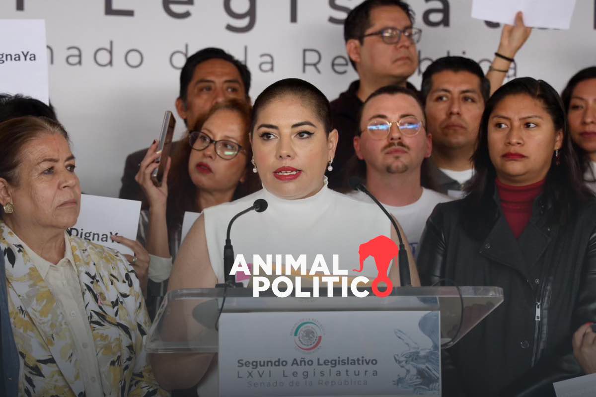 “Este año se va a lograr”: Ley Trasciende, la lucha de Samara por ...