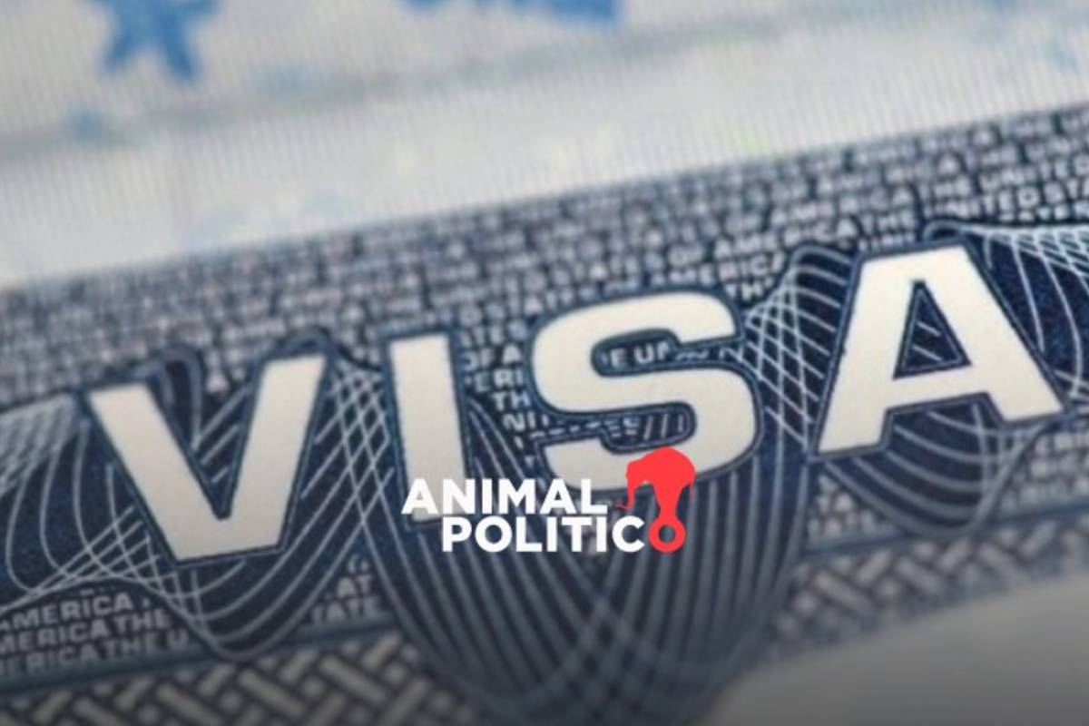 Gobierno de Trump suspende trámite de visas a 75 países, entre ellos ...